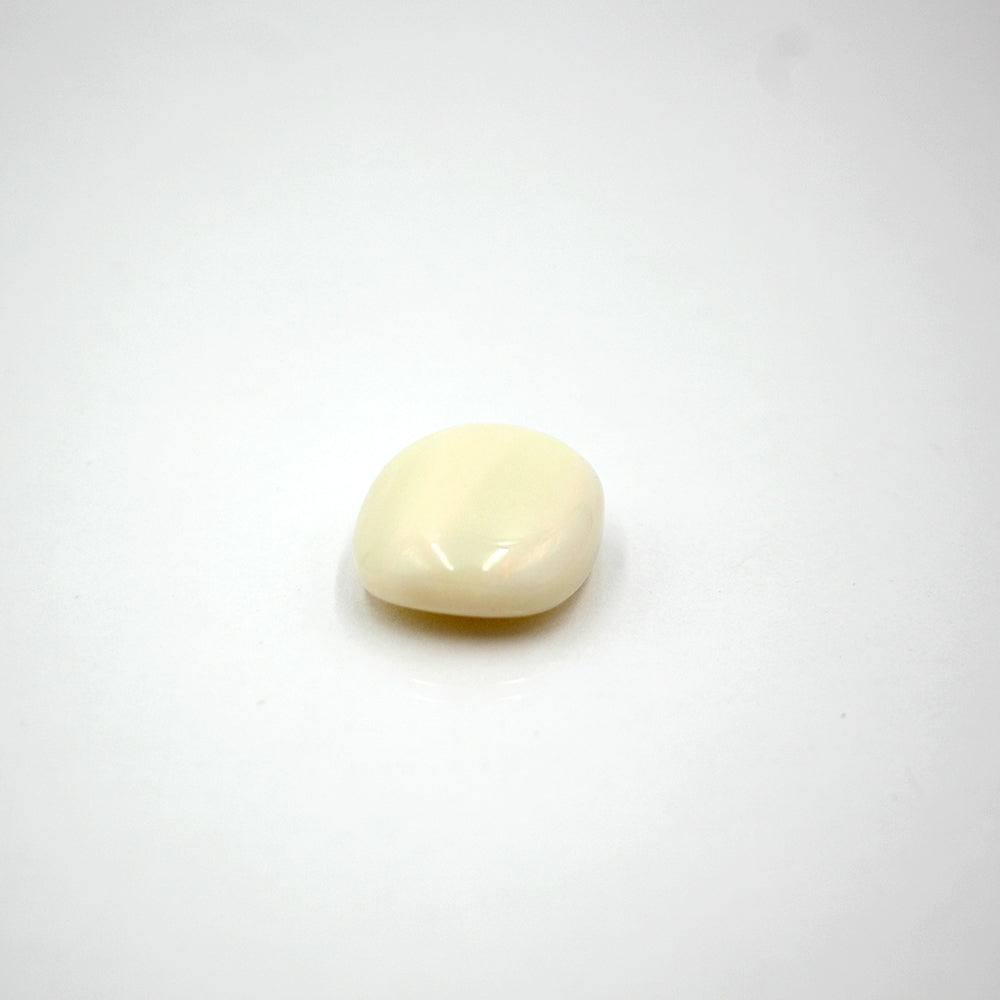 Collections – Astroscience